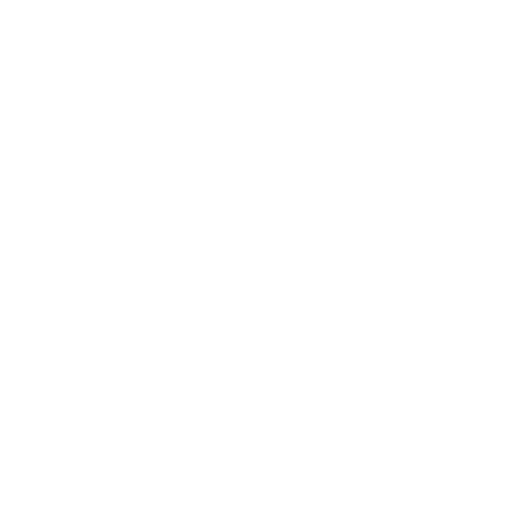 LFS Inc. | Websites