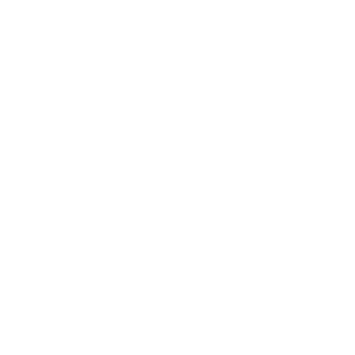 LFS Inc. | Websites