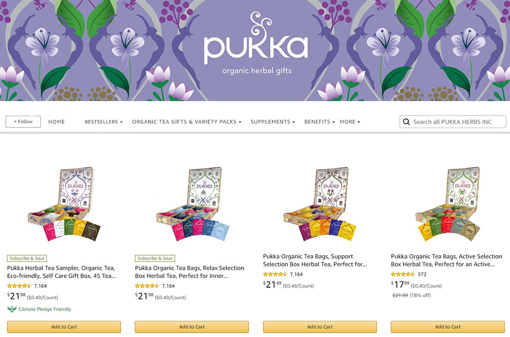 10 Best Amazon Storefronts Examples Created by eStore Factory