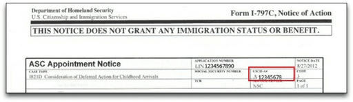 A Simple Guide: Where to Find Your Alien Registration Number