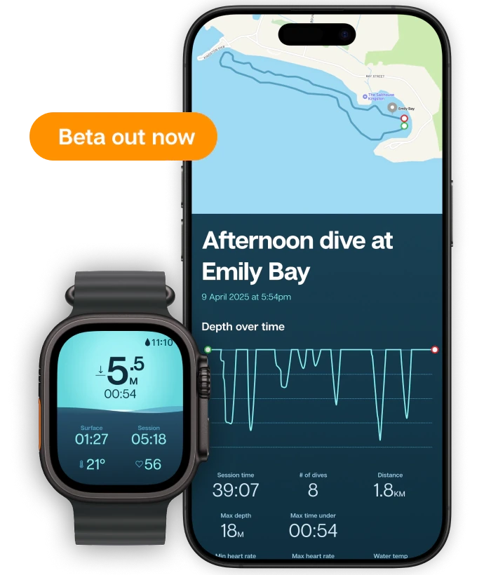 Blue Infinity - Freediving and Snorkelling App