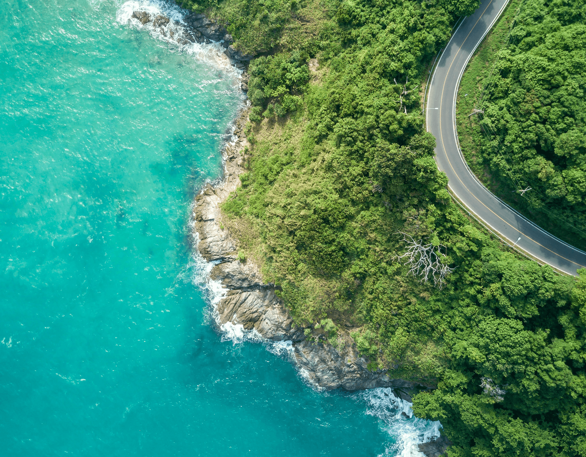 The carbon credit lifecycle explained | Carbon Direct