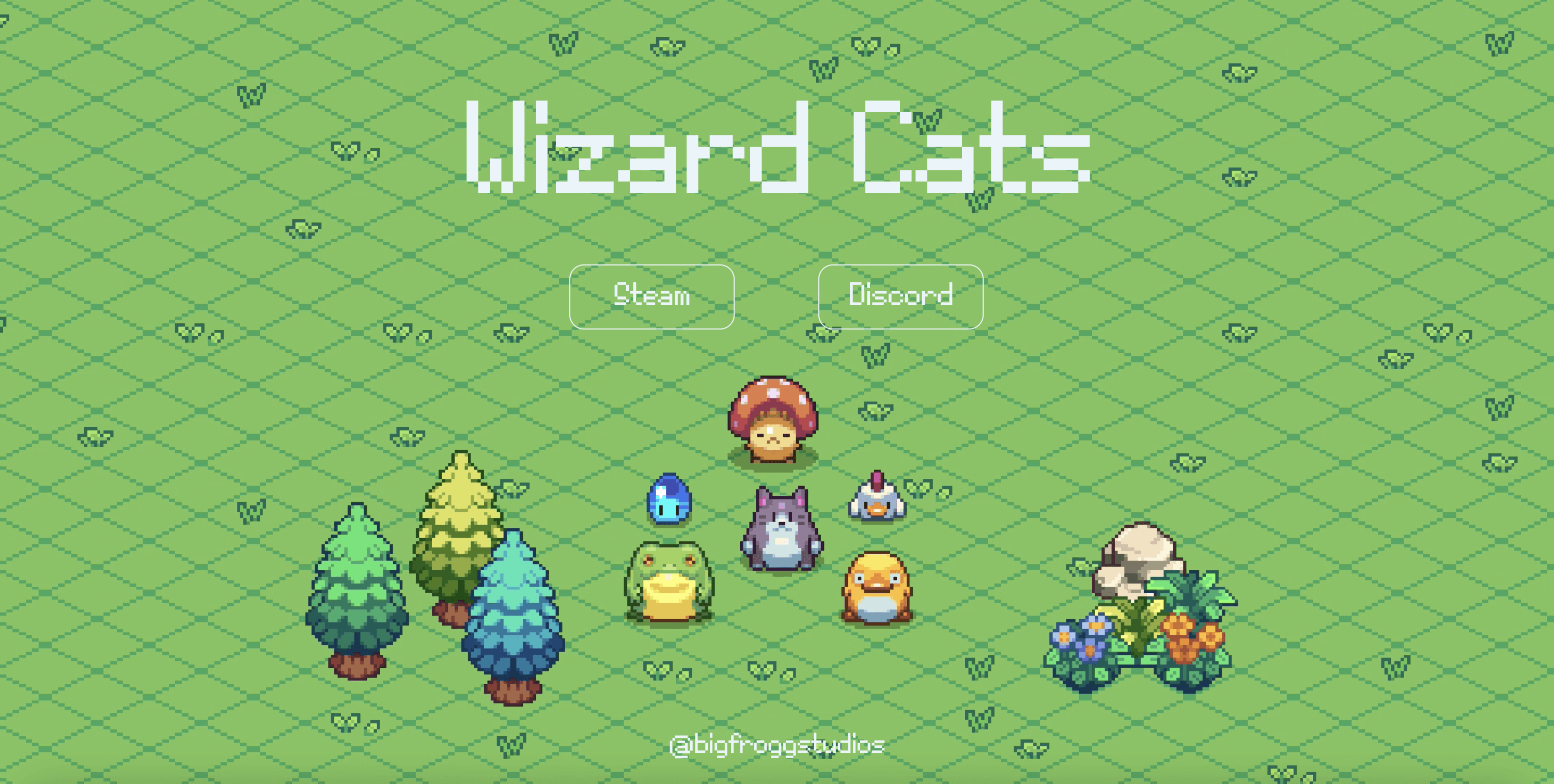 Wizard Cats
