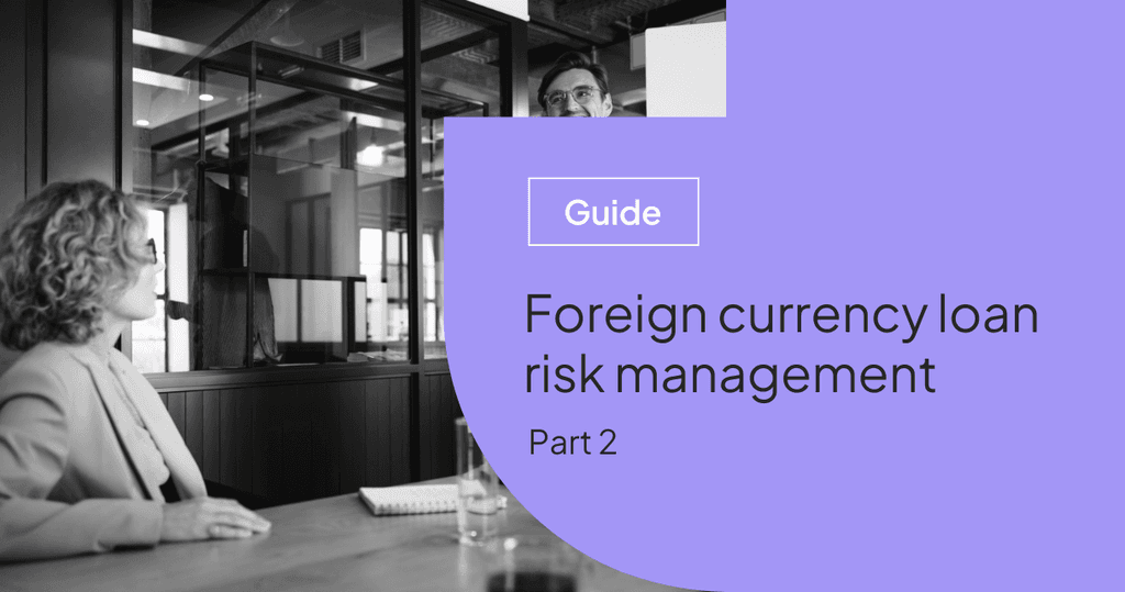 Foreign currency loan risk management guide - Part 2