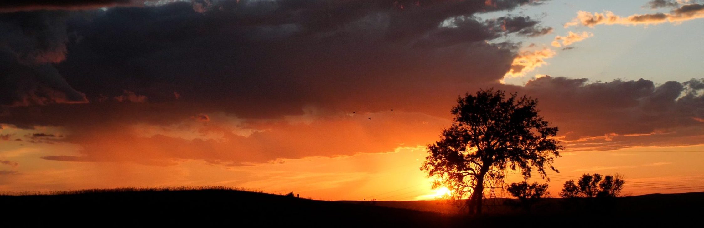 BCarbon | Powered by Change Code