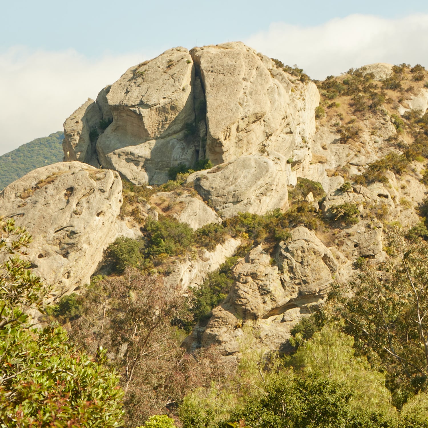 Sunday | Brand Design Studio