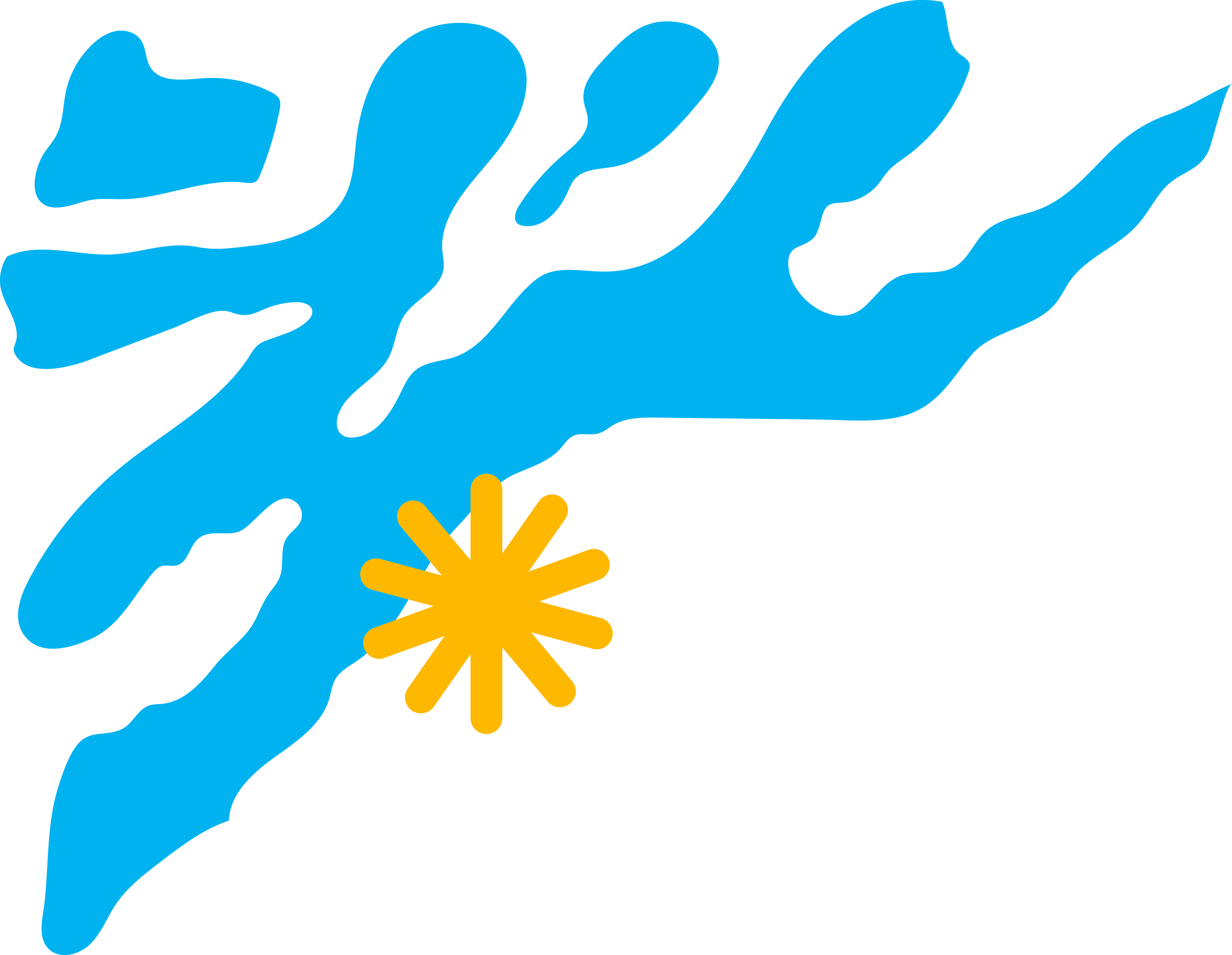 The Leading Freight Forwarder Network in LATAM | Twig Network