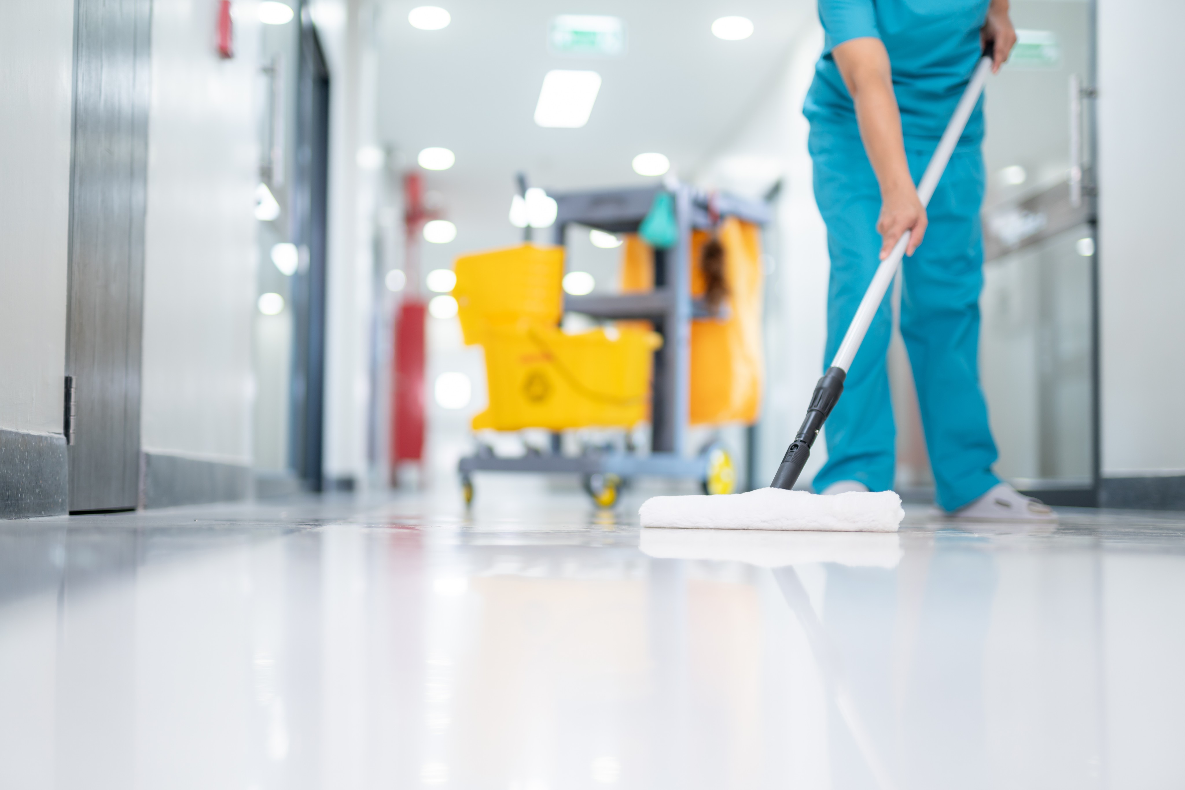 Environment Control Service Group - Commercial Landscaping and Janitorial