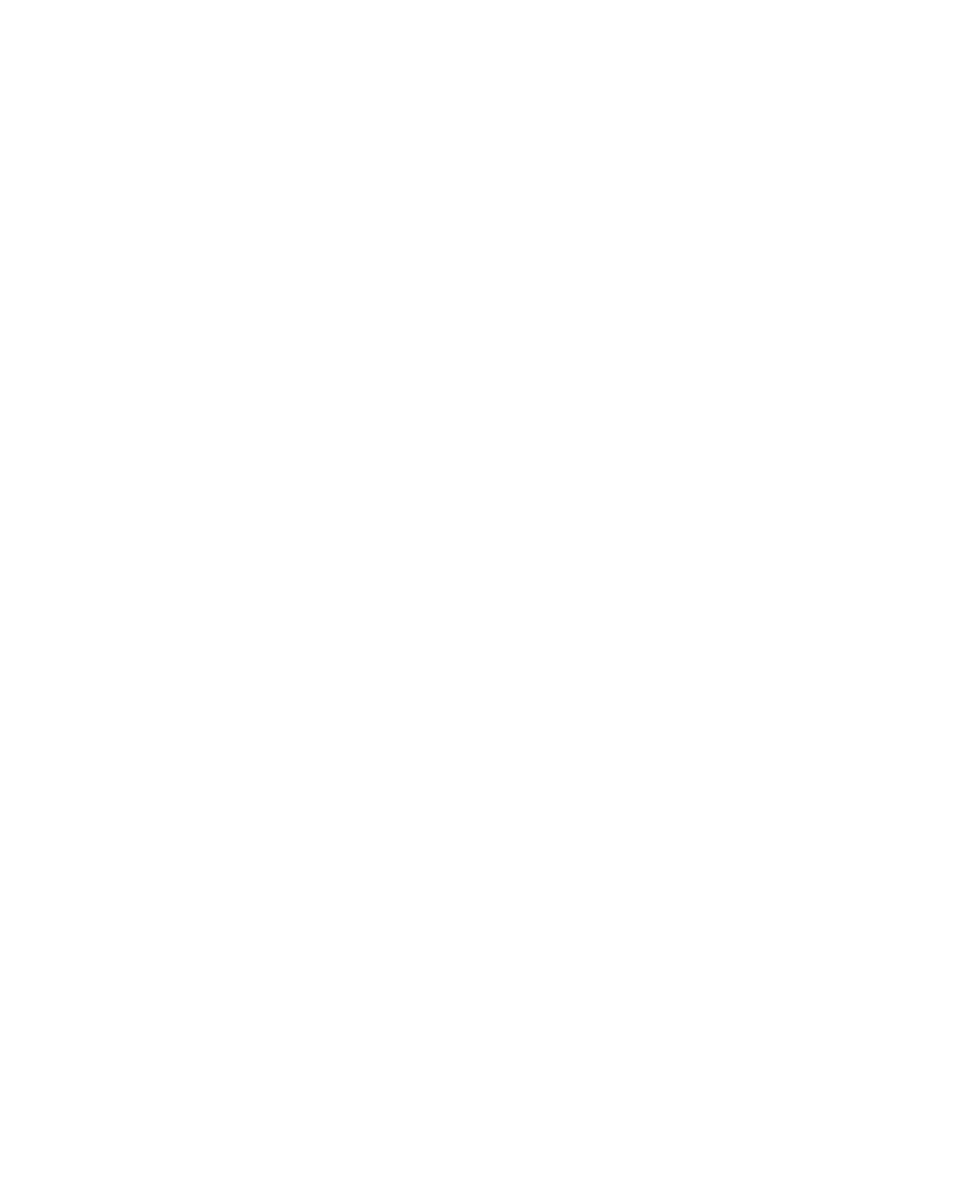 InCorr - Therapeutic Model