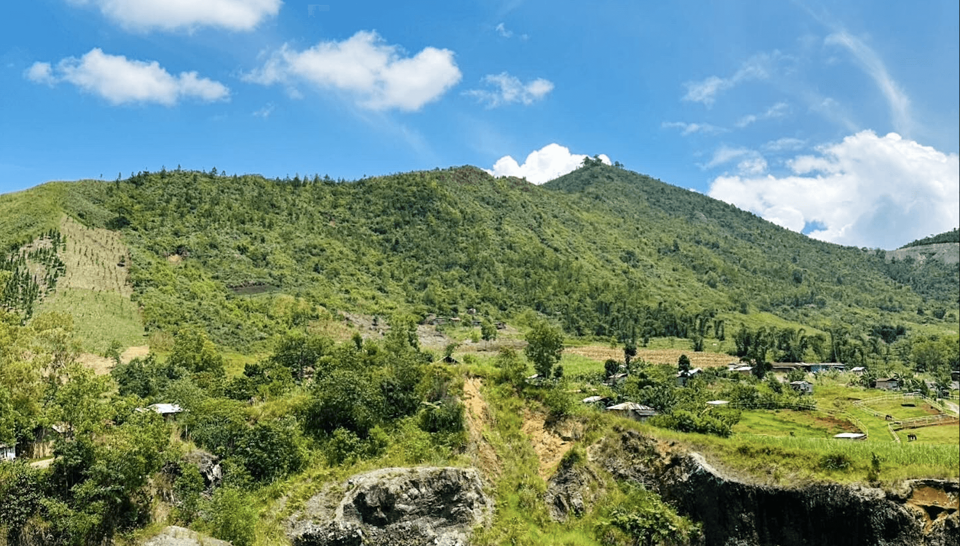 Restoring Bukidnon's Forests: A Promising Carbon Sequestration Project