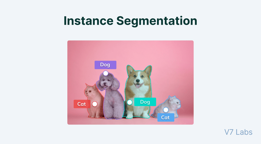 What Is Instance Segmentation? [2024 Guide & Tutorial]