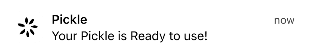 Pickle - AI Self makes you look your best