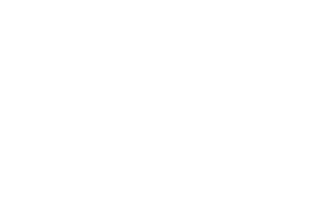 netorium AG – Kompetenzcenter und Technologiescout für die Medienindustrie