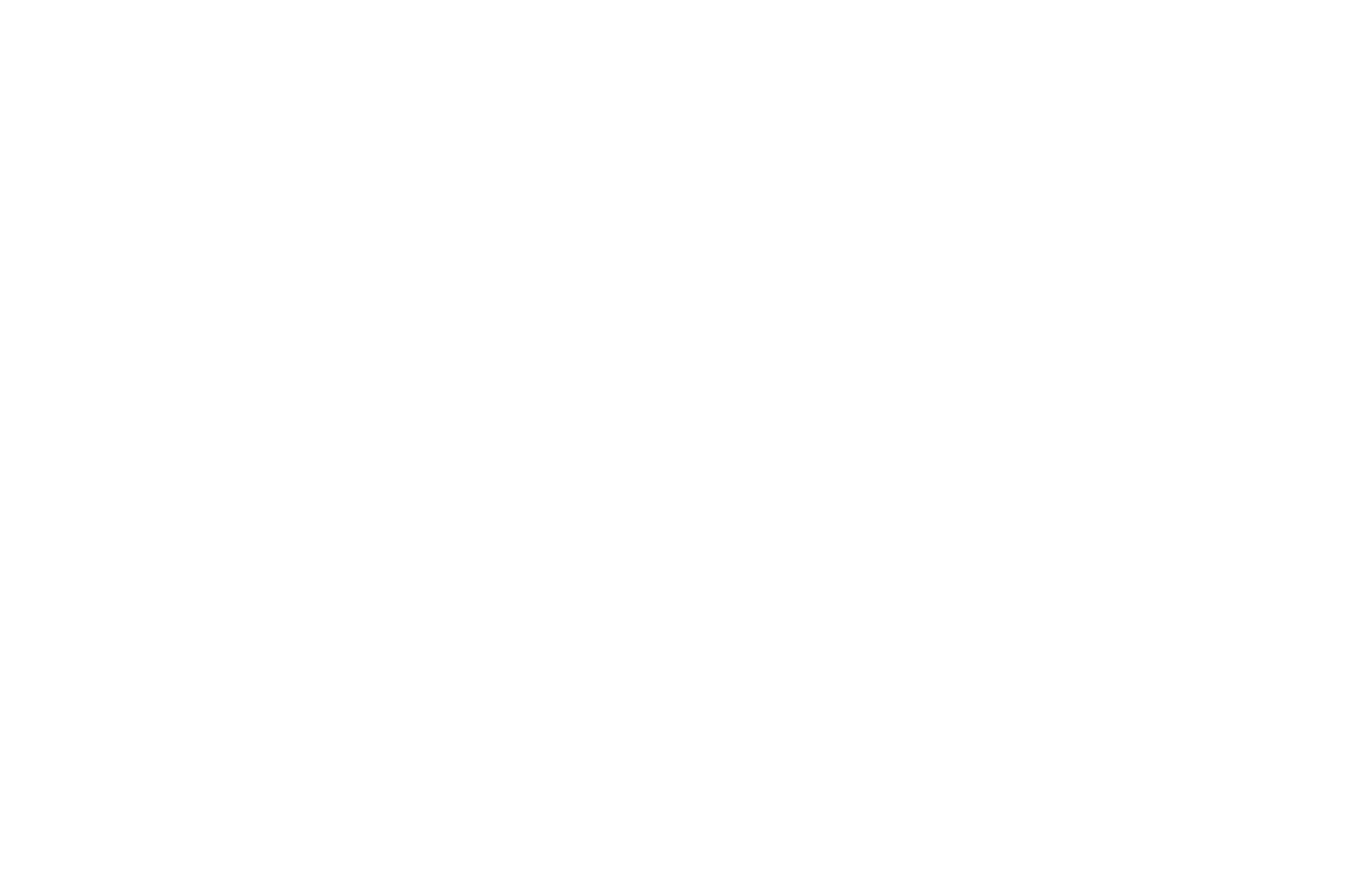 netorium AG – Kompetenzcenter und Technologiescout für die Medienindustrie