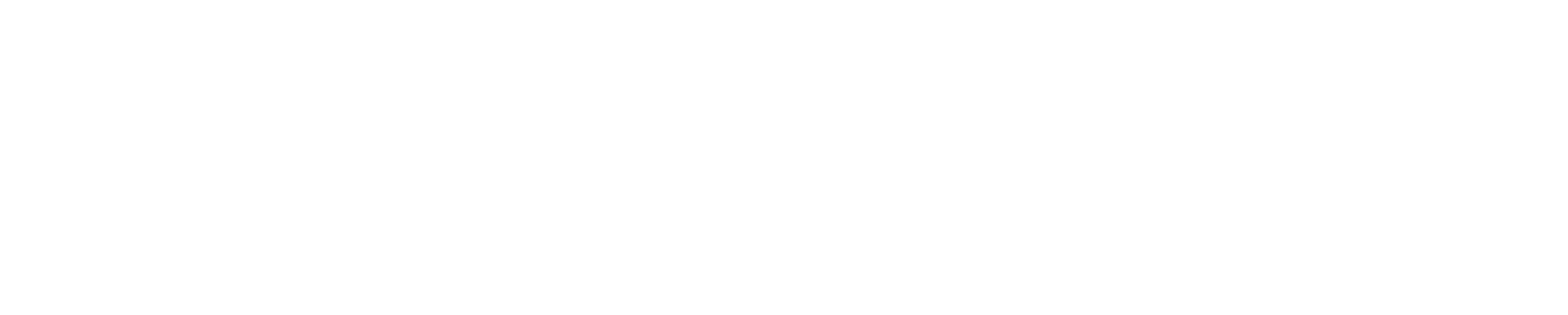 netorium AG – Kompetenzcenter und Technologiescout für die Medienindustrie