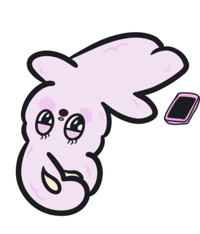 Rosamia | Premium Long Stem Rose Delivery in Miami