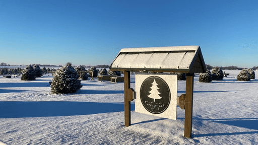 Top 10 Christmas Tree Farms in Northern Indiana (2025) - Get Indiana.