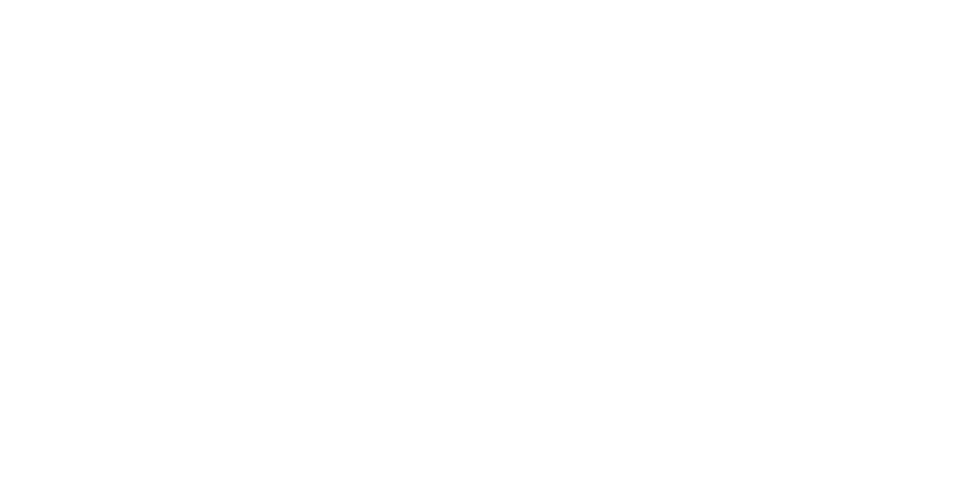 Brainforest - Portfolio