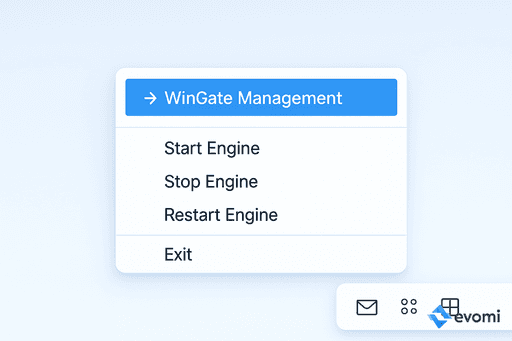 WinGate on Windows 10: Quick Proxy Server Setup - Evomi Blog