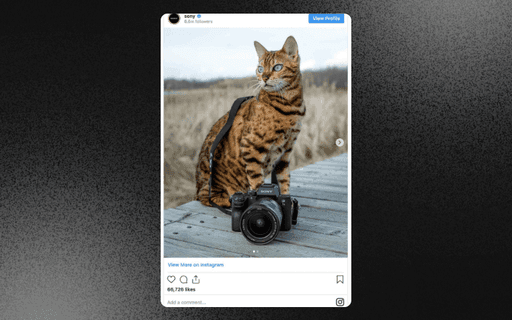 6 Instagram Feed Ad Examples To Inspire You