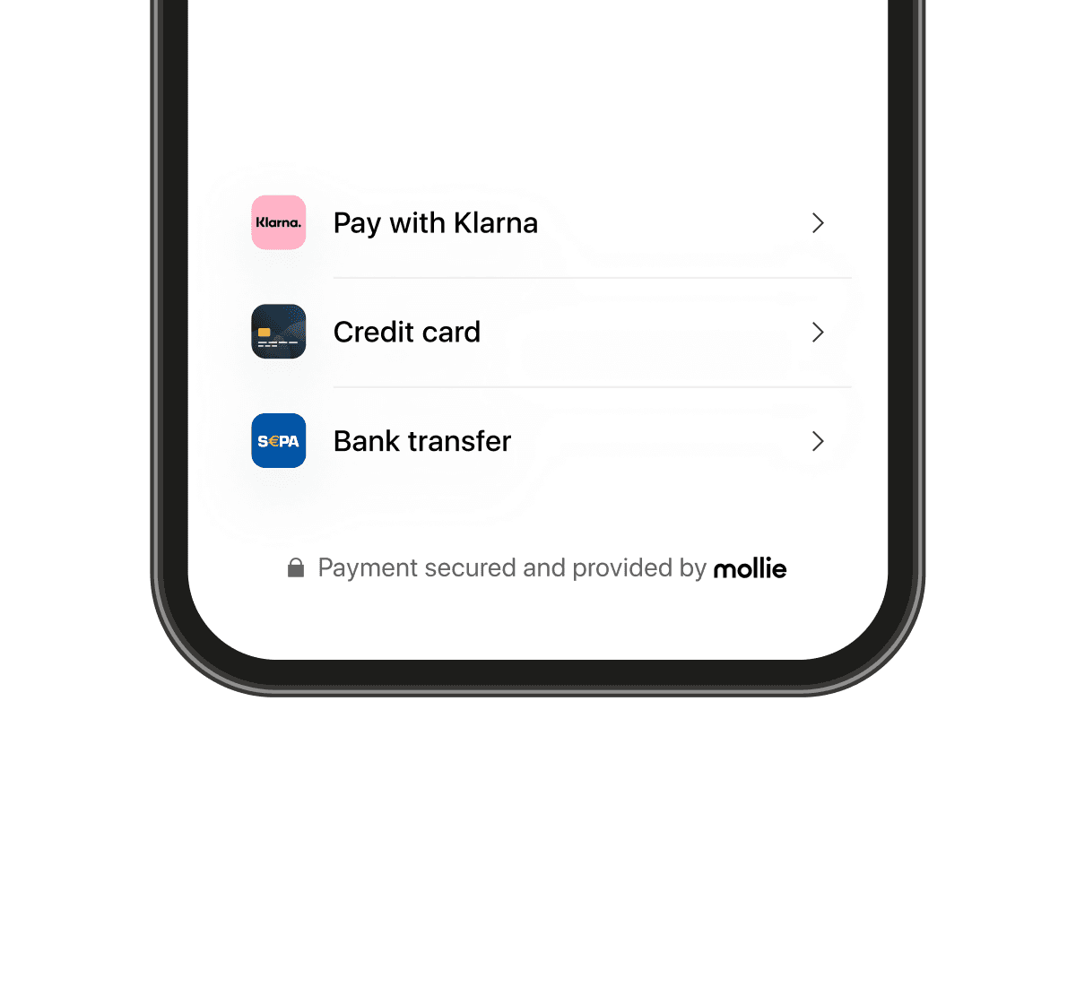 Accept Direct Debit payments on your webshop | Mollie