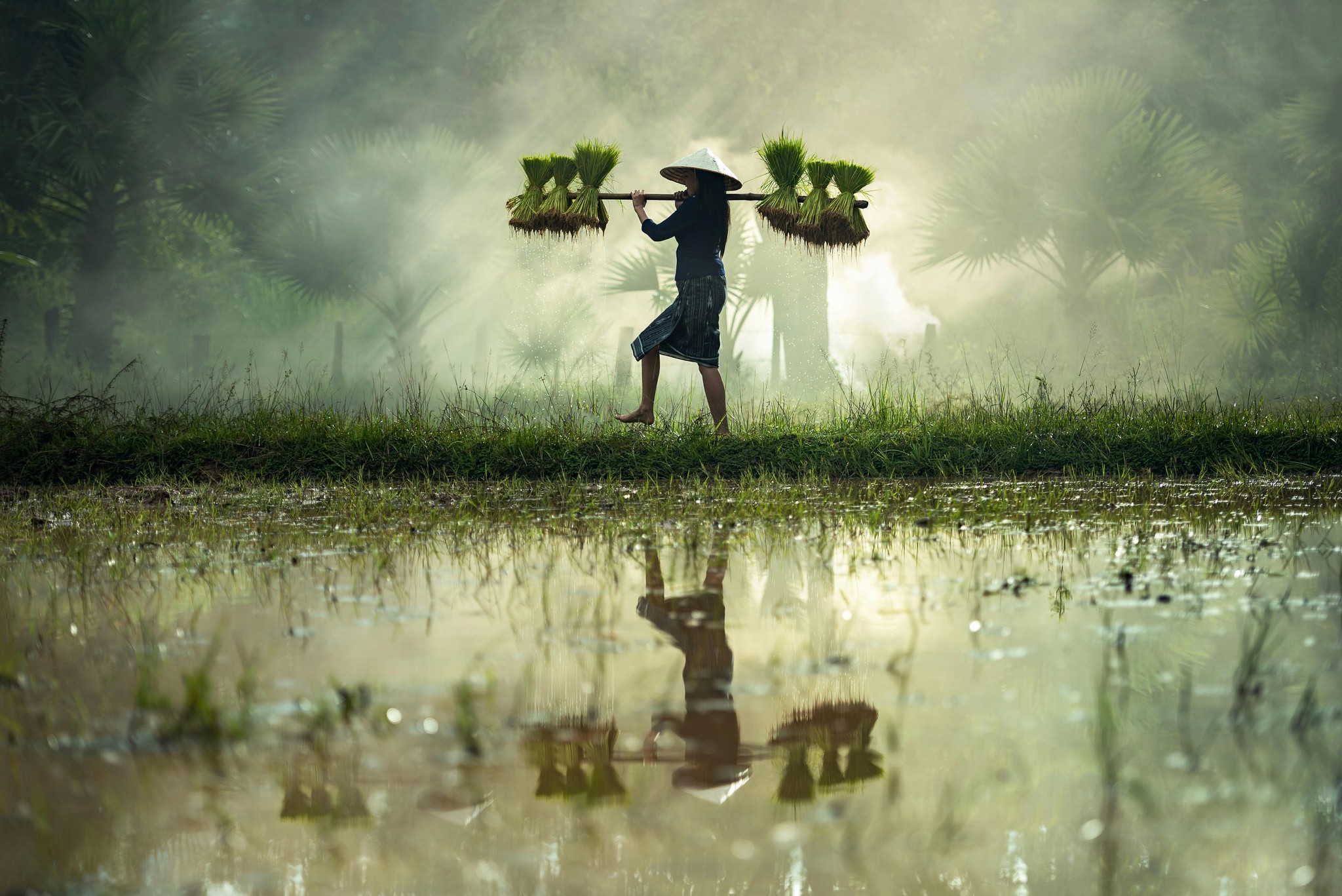 Jook: The Ancient Comfort Food That Heals from the Inside Out - My ...