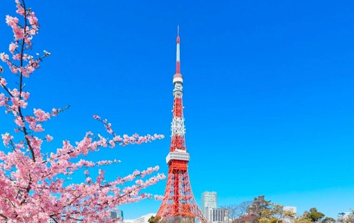 Moyasar - The Easiest Online Payment Gateway in Saudi Arabia