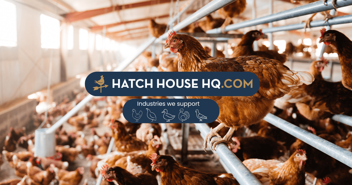 Hatch House HQ
