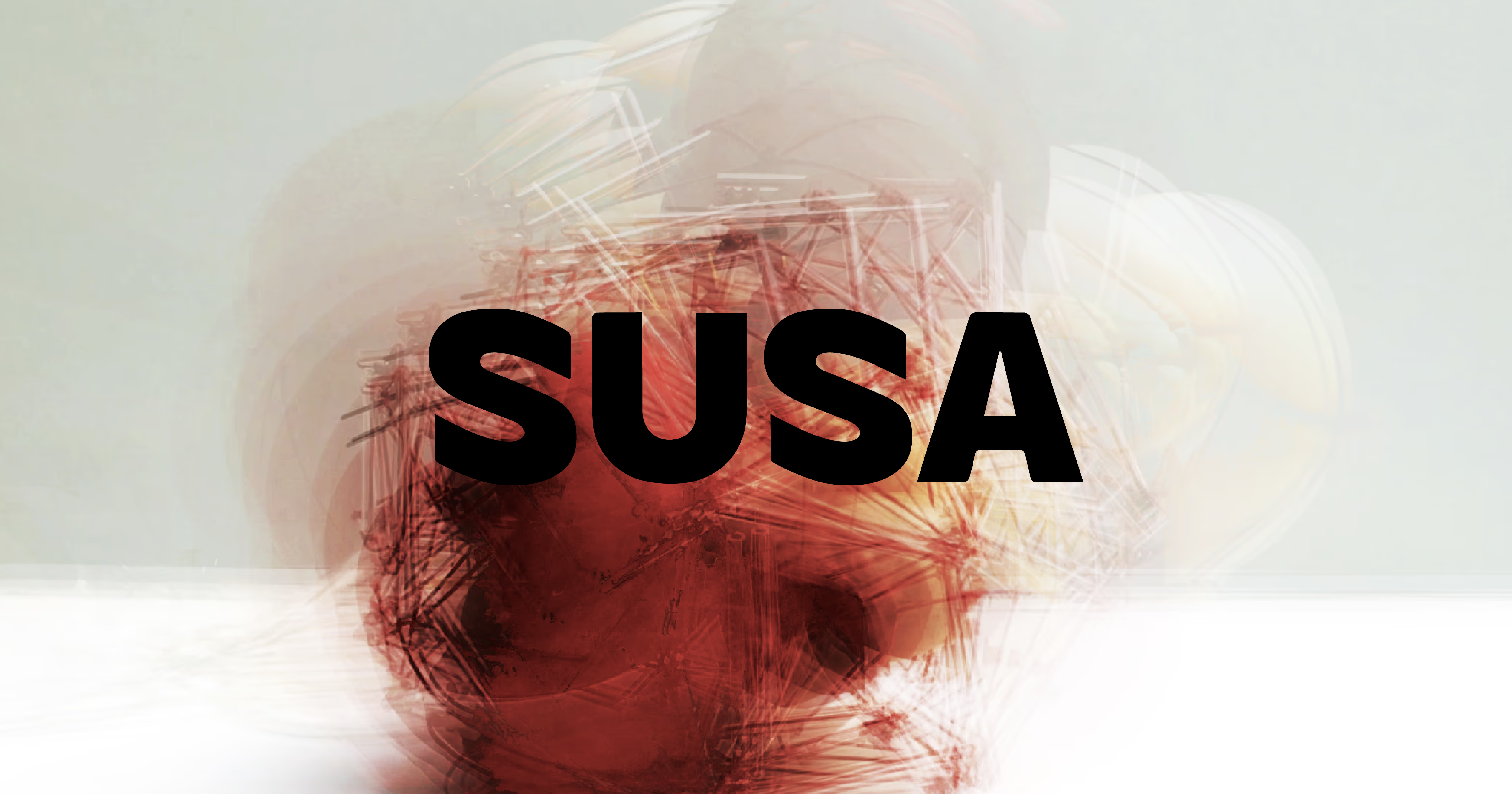 SUSA