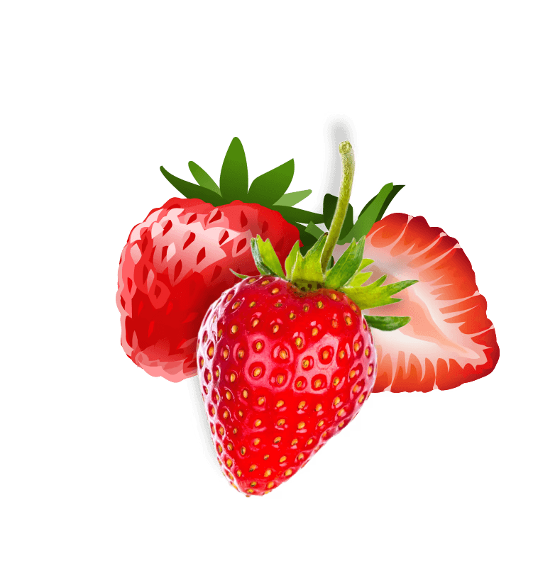 8 Berries - The World of Berries