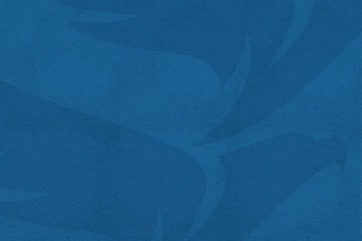 Dealer General Warranty