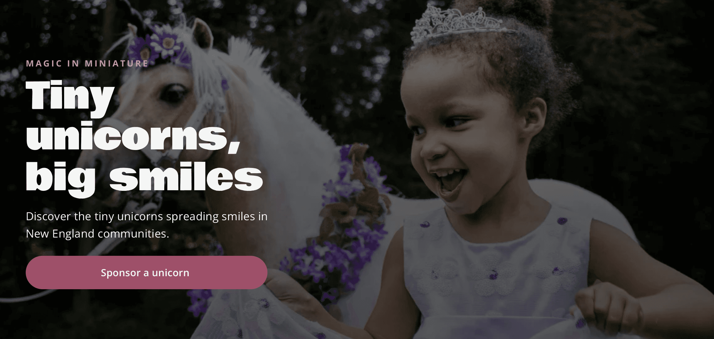 What Are Therapy Mini Horses? Everything You Need to Know - The Unicorns Project Inc.