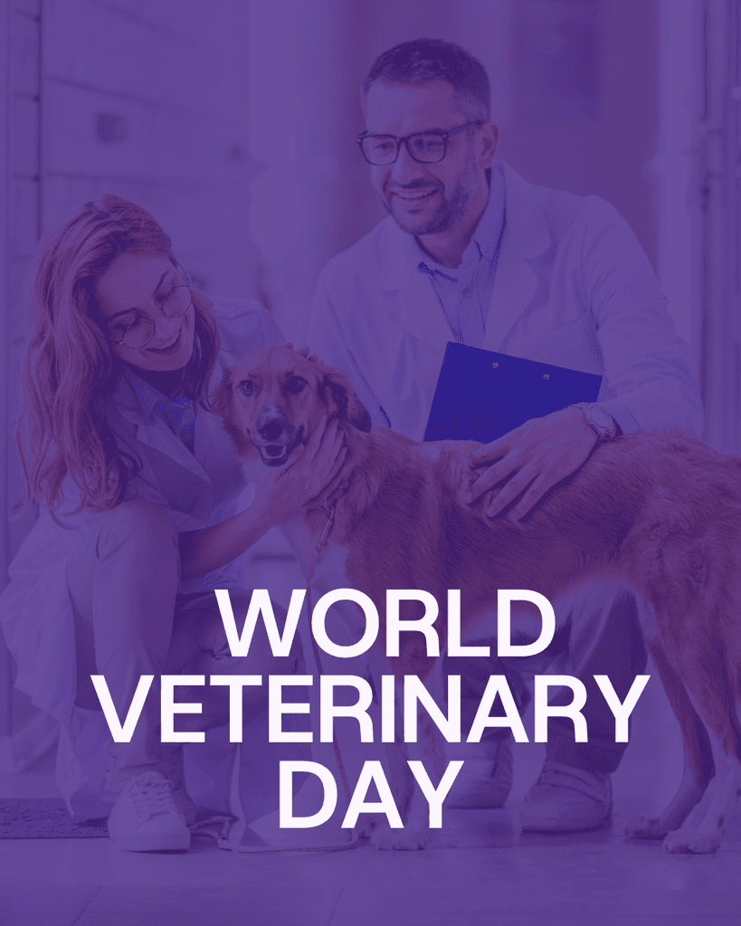 15 veterinary marketing ideas to use in April | PetDesk