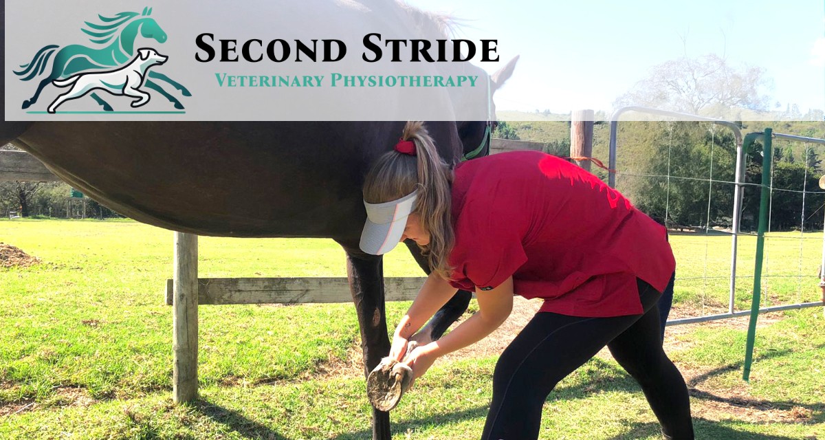 Second Stride Veterinary Physiotherapy