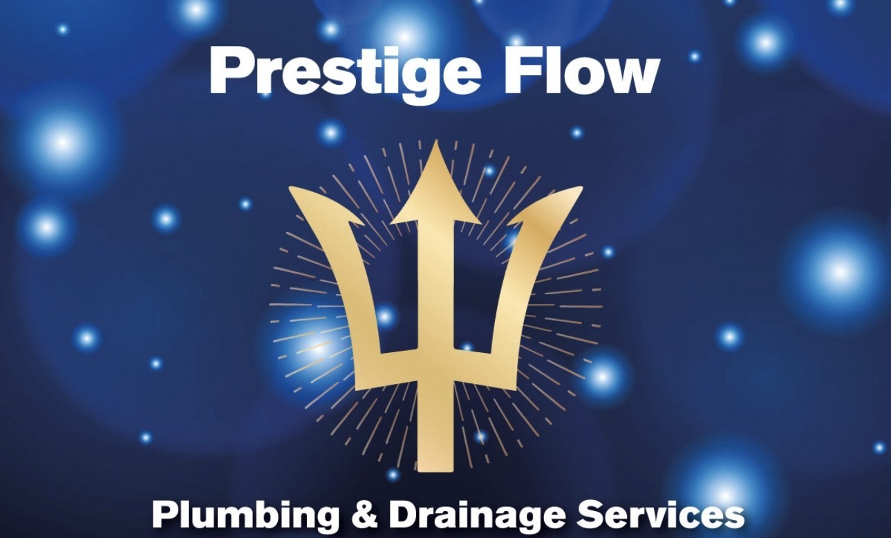 Prestige Flow | Patch Lining Works