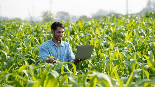 Computer Vision in Agriculture for Smart Farming and Productivity - Leher