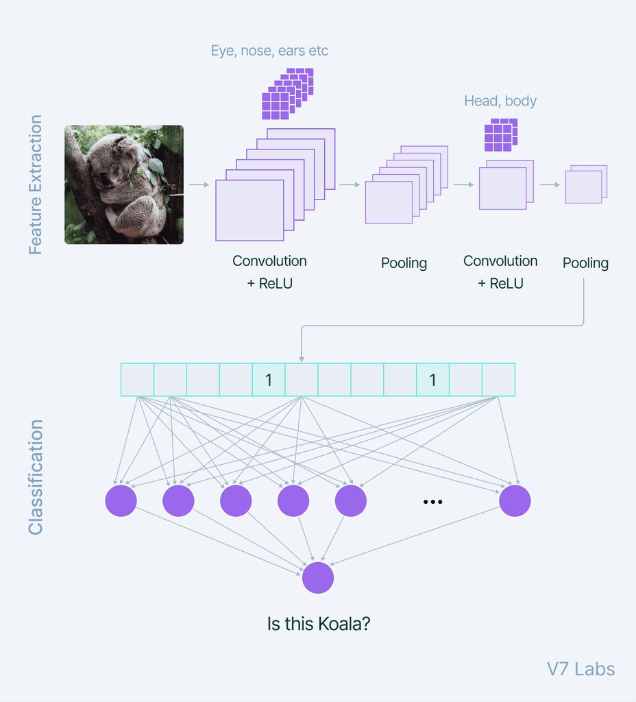 Convolutional Neural Networks: Architectures, Types & Examples