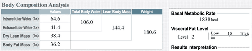 Your Metabolism and Your Body Composition | InBody USA