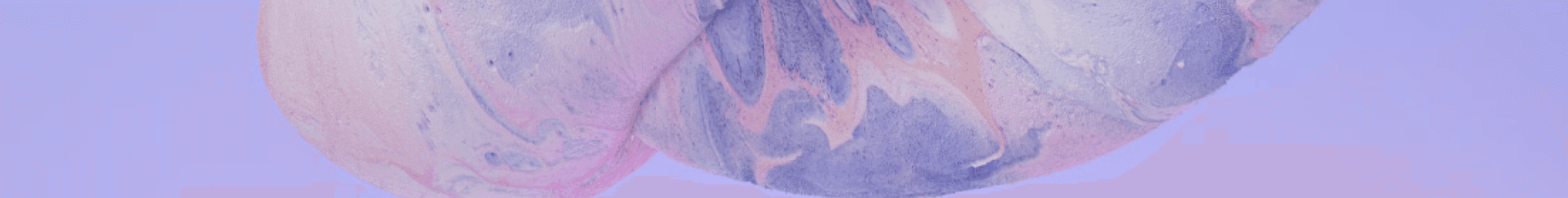 Second Space - Members Club | Kaohsiung, Taiwan