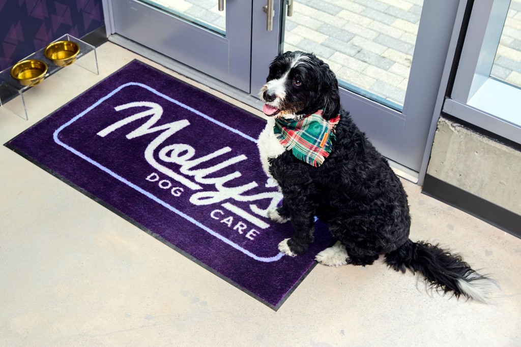 Molly's Dog Care | Alexandria VA