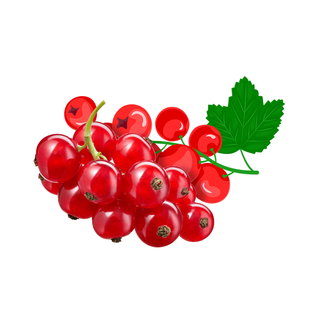 8 Berries - The World of Berries