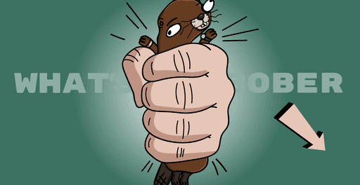 BOBER - The first meme coin that flipped MultiversX.