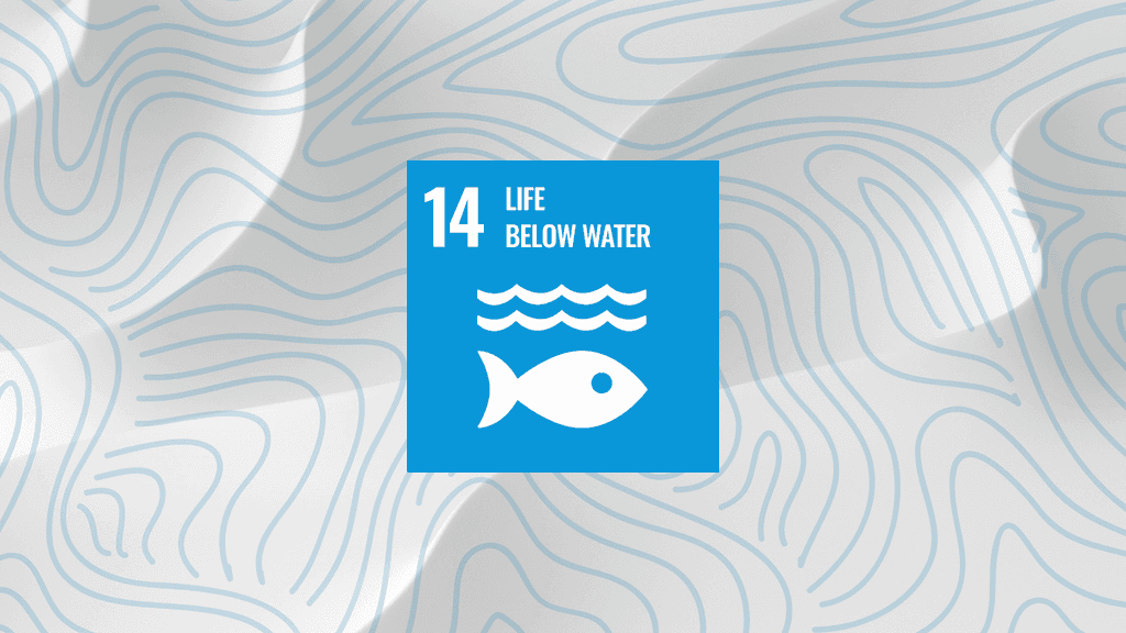 Sustainable Development Goal 14: Life Below Water - My Framer Site