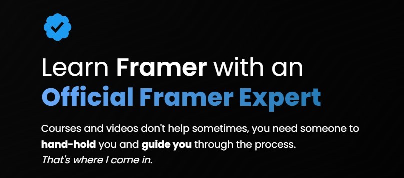Learn 1:1 Framer by an Expert
