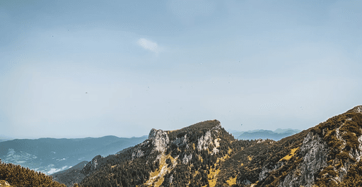 Speed up php Website with RabbitLoader.