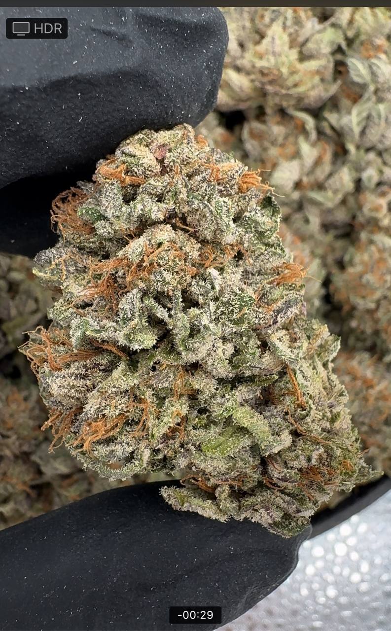 Flower - Cali Exotics