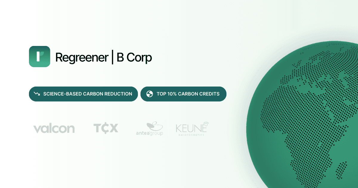 The 5 Best Verra (VCS) Carbon Credit Projects of 2026
