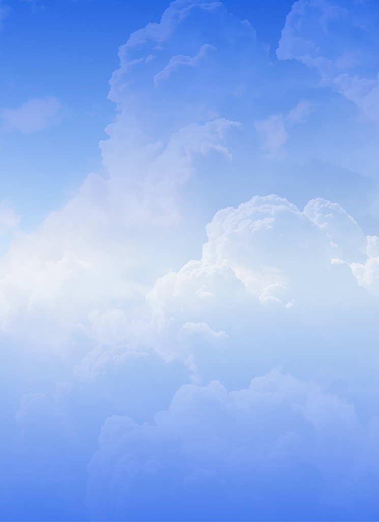 The Coaching Dashboard