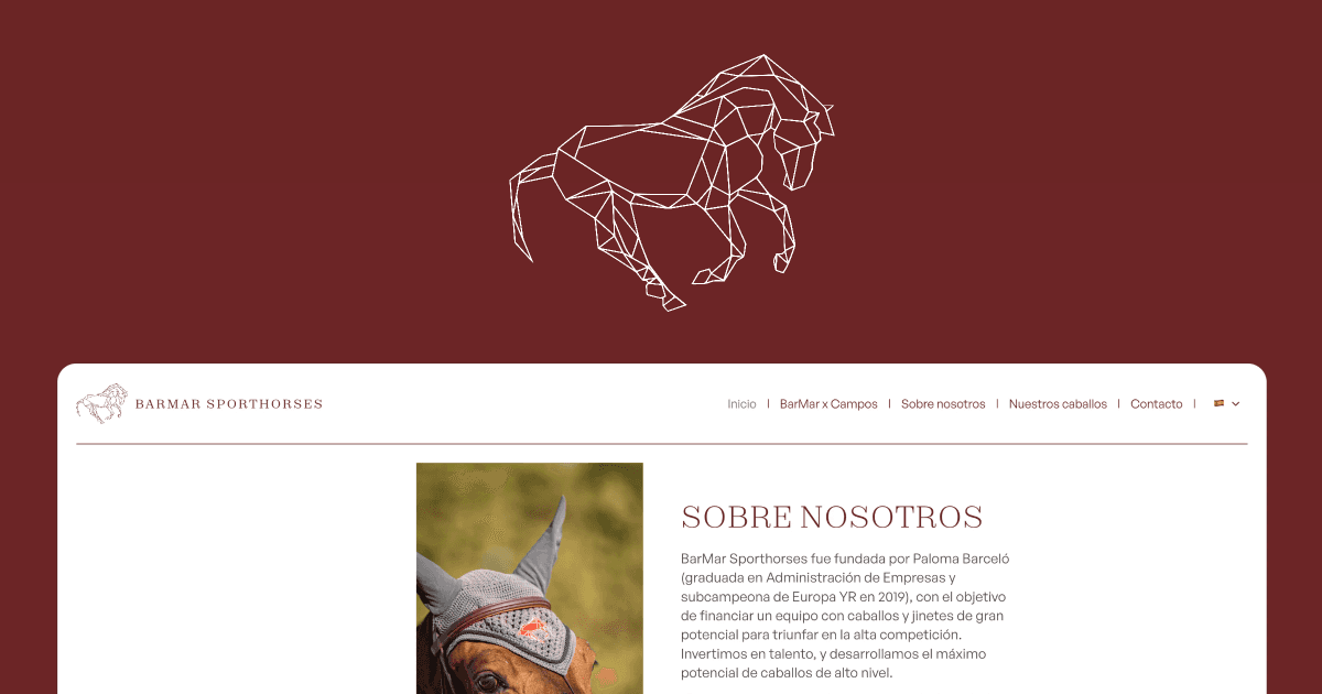 BarMar Sporthorses