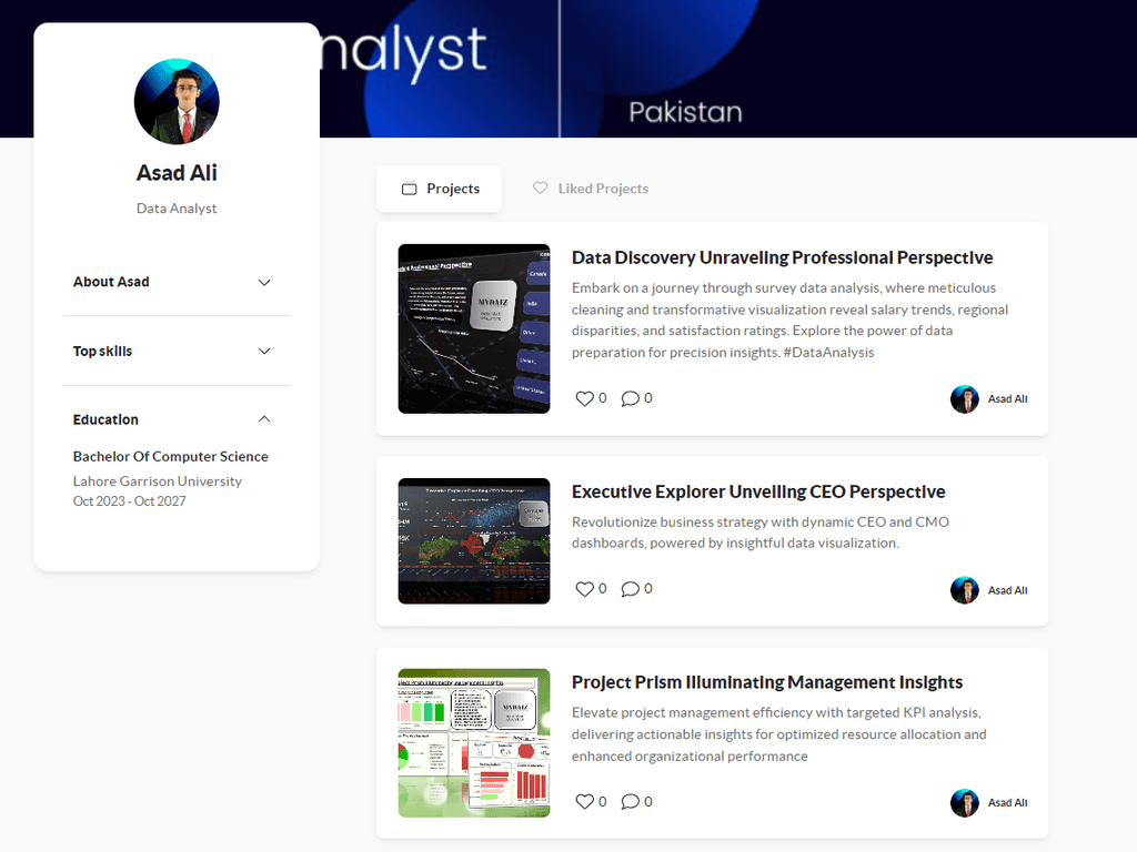 Analysts You Can Hire: Summer 2024 | Maven Analytics